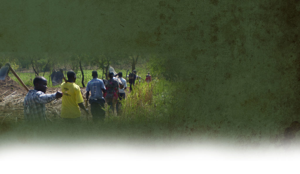 Trees For Transformation | Third Hope