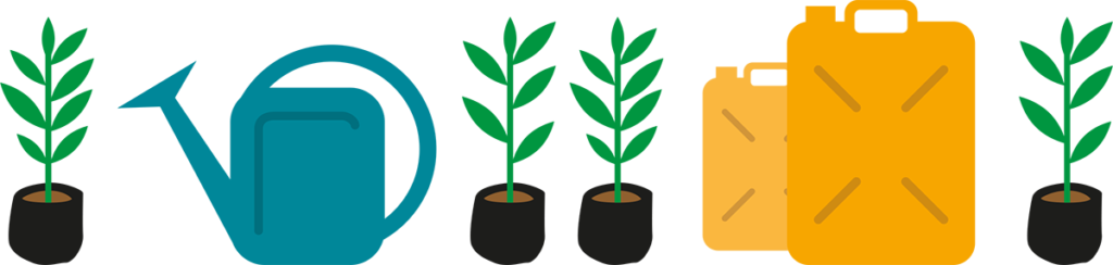 Trees For Transformation | Third Hope